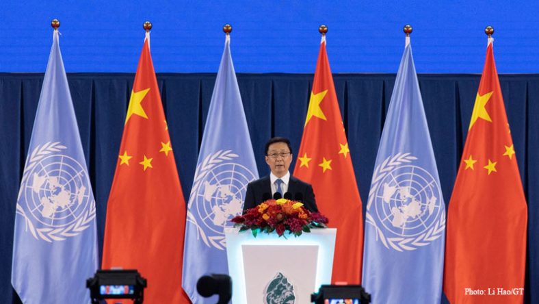 China’s ecological red line system, BRI to help countries achieve post ...