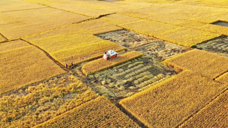 National agro and reserve system, needs-based imports ensure food ...