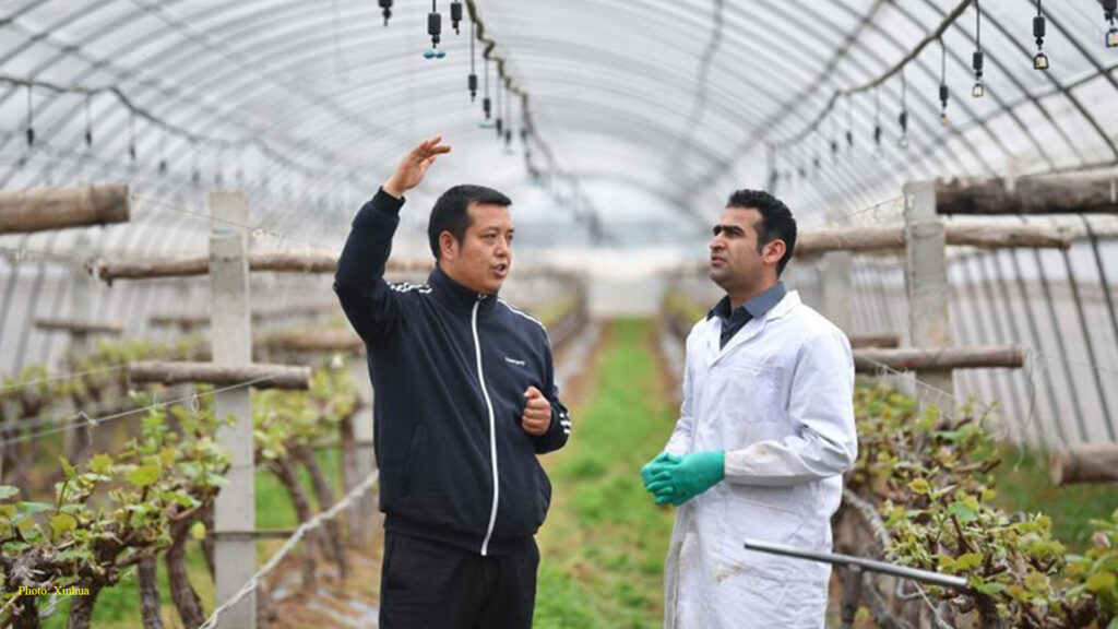 China-Central Asia agricultural cooperation under SCO framework ...